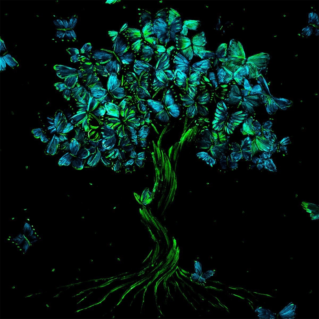 Artist – Becky Smith – SpaceBeams